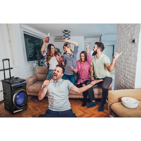 MEDION® LIFE® P61200 Partylautsprecher