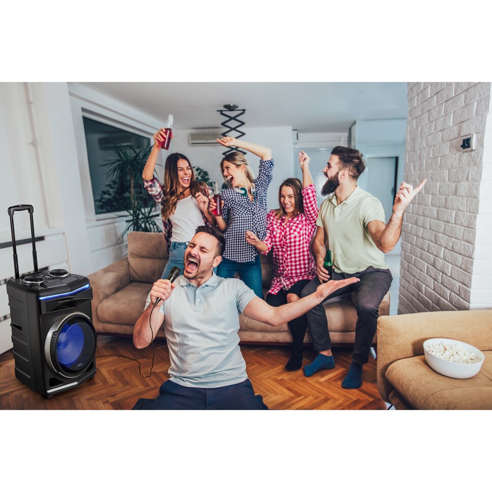 MEDION® LIFE® P61200 Partylautsprecher