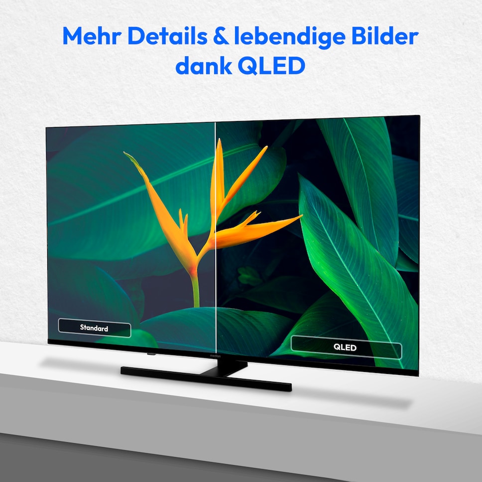 MEDION® LIFE MD 855600 QLED Smart-TV